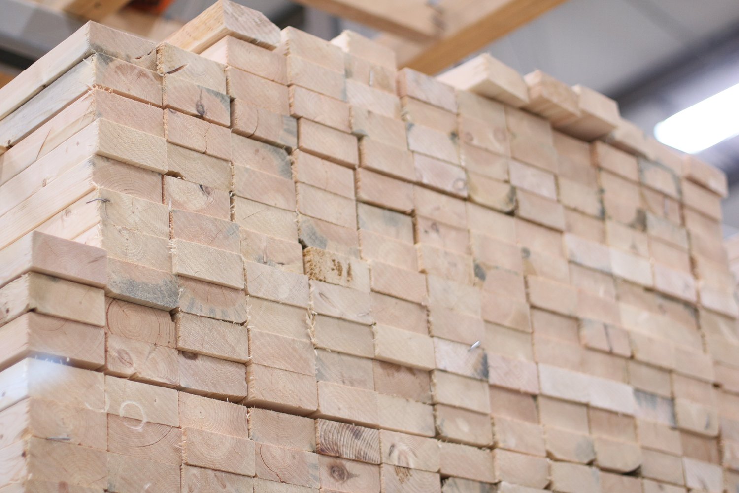 Panelized Construction: Behind the Scenes